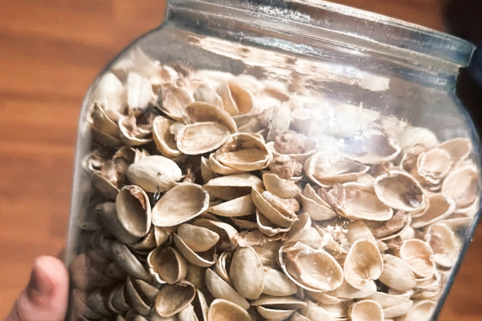 The Hidden Power of Pistachio Shells: Benefits and Clever Homemade Uses ...
